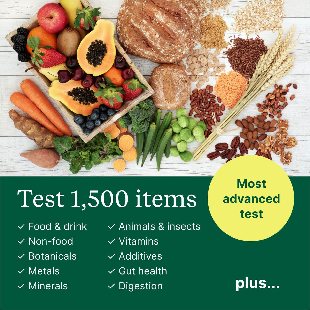 Body Sensitivity Test | Test 1,500 Items to Improve Your Health – Check ...