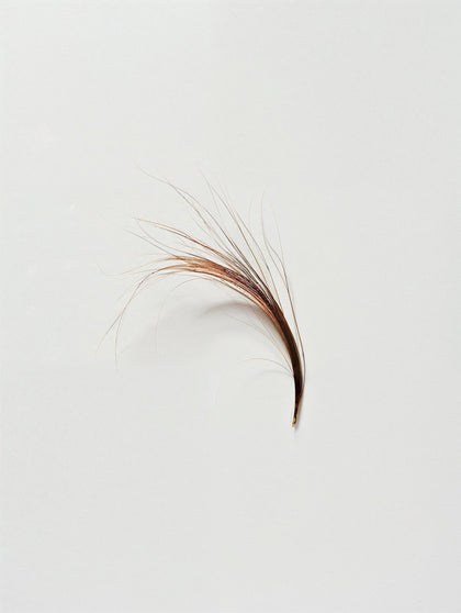 How to order - Check My Body Health – Check My Body Health USA